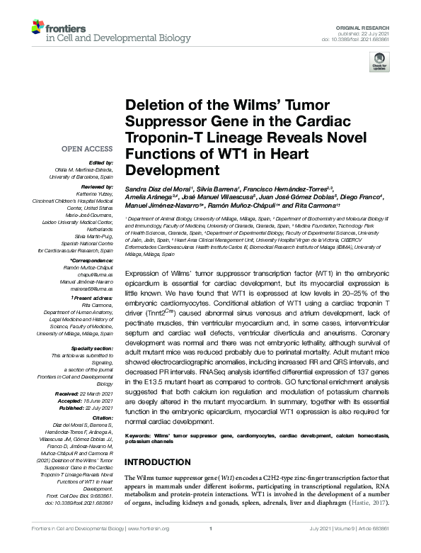 (PDF) WT1 Deletion Reveals New Heart Development Roles