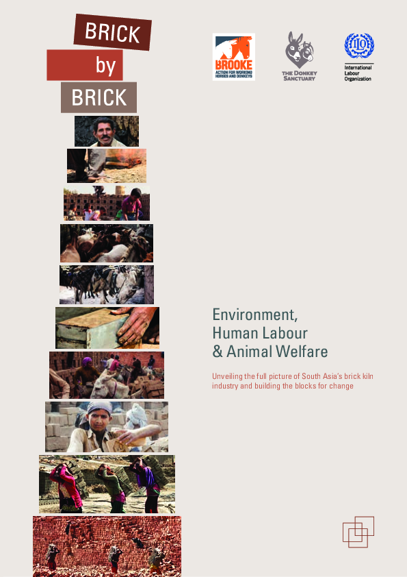 (PDF) Brick by Brick: Unveiling the full picture of South Asia’s brick ...