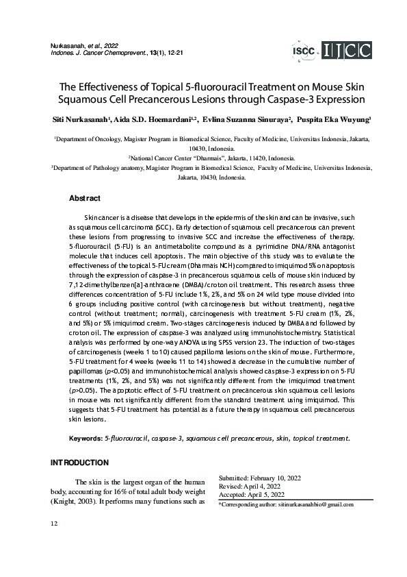 (PDF) The Effectiveness of Topical 5-fluorouracil Treatment on Mouse ...