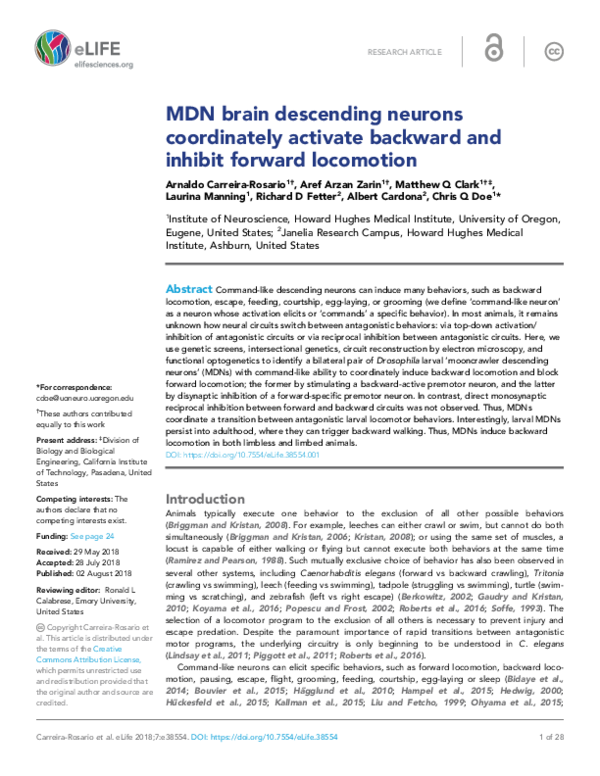 (PDF) MDN brain descending neurons coordinately activate backward and inhibit forward locomotion