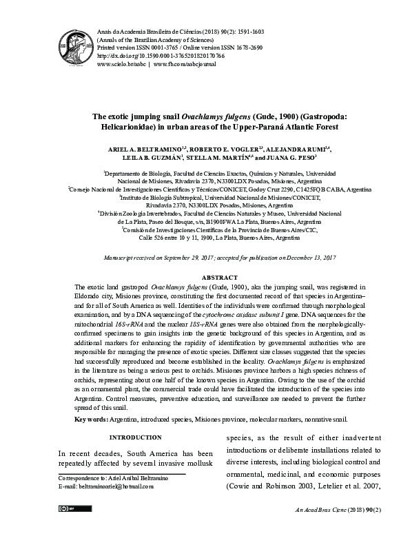 (PDF) The exotic jumping snail Ovachlamys fulgens (Gude, 1900 ...