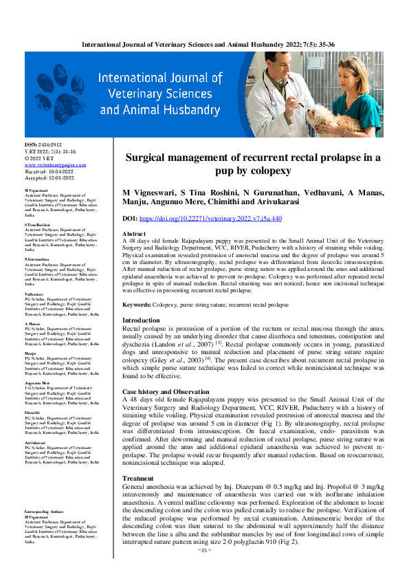 (PDF) Surgical management of recurrent rectal prolapse in a pup by colopexy