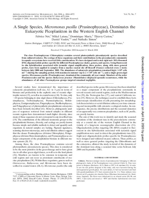(PDF) A Single Species, Micromonas pusilla (Prasinophyceae), Dominates ...