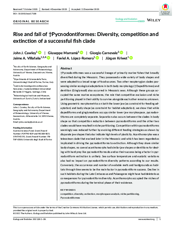 (PDF) Rise and fall of †Pycnodontiformes: Diversity, competition and ...