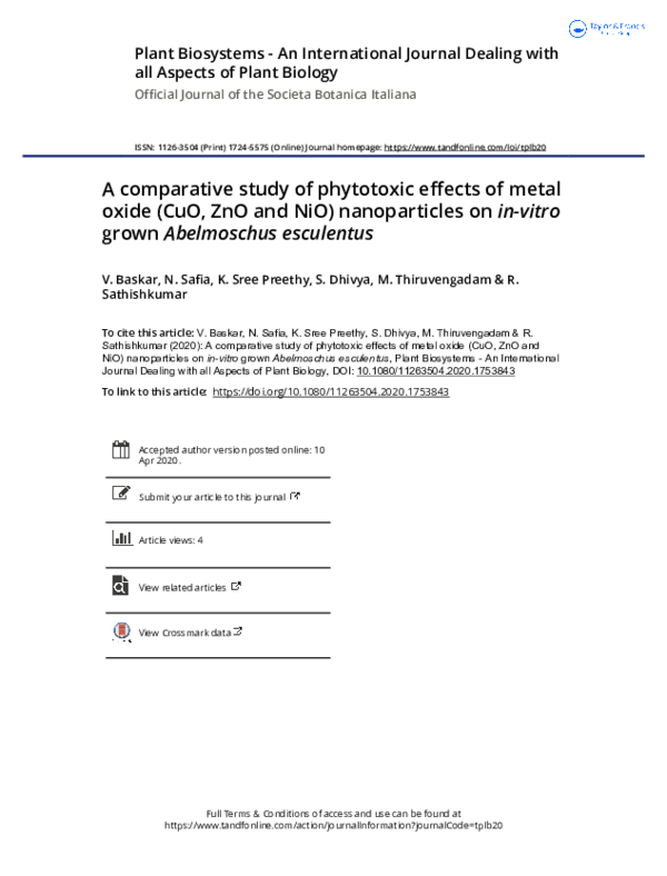 (PDF) A comparative study of phytotoxic effects of metal oxide (CuO ...