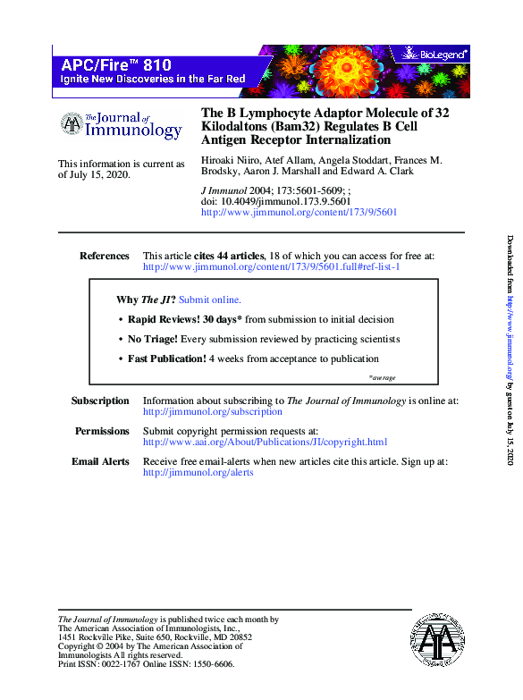 (PDF) The B Lymphocyte Adaptor Molecule of 32 Kilodaltons (Bam32 ...