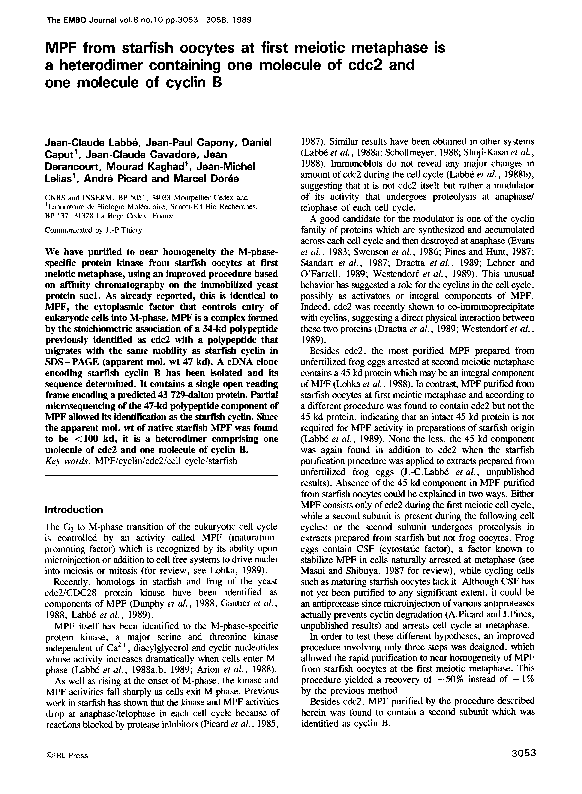 (PDF) MPF from starfish oocytes at first meiotic metaphase is a ...