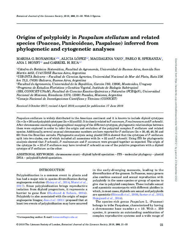 Origins of polyploidy in Paspalum stellatum and related species ...