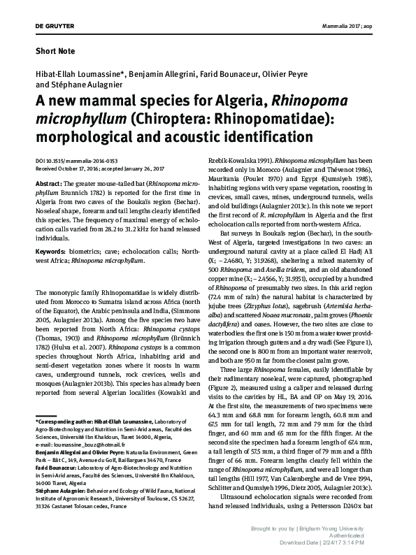 (PDF) A new mammal species for Algeria,Rhinopoma microphyllum ...