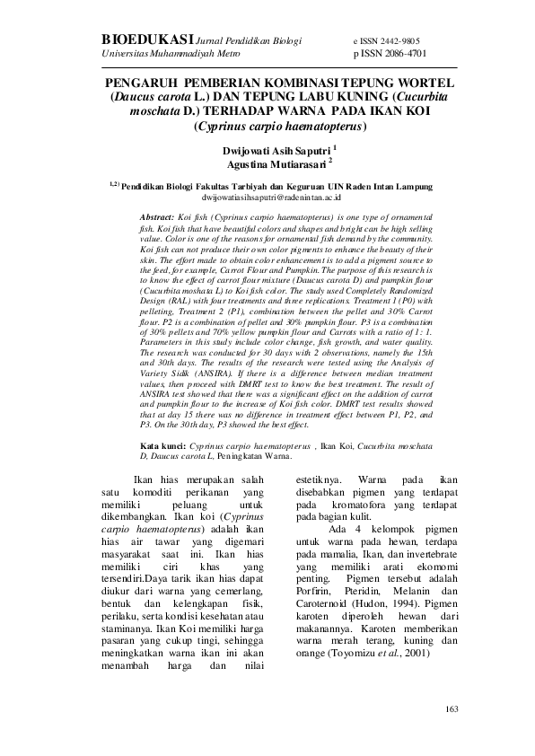(PDF) PENGARUH PEMBERIAN KOMBINASI TEPUNG WORTEL (Daucus carota L.) DAN TEPUNG LABU KUNING ...