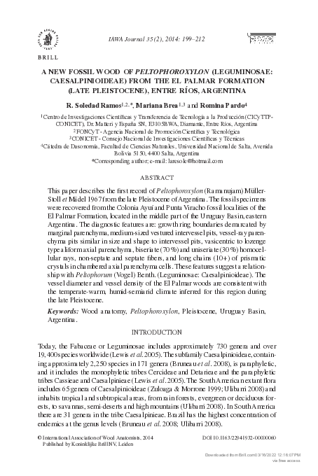 (PDF) A new fossil wood of Peltophoroxylon (Leguminosae ...