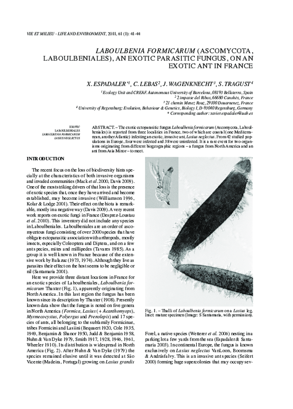 (PDF) Laboulbenia formicarum (Ascomycota, Laboulbeniales), an exotic ...