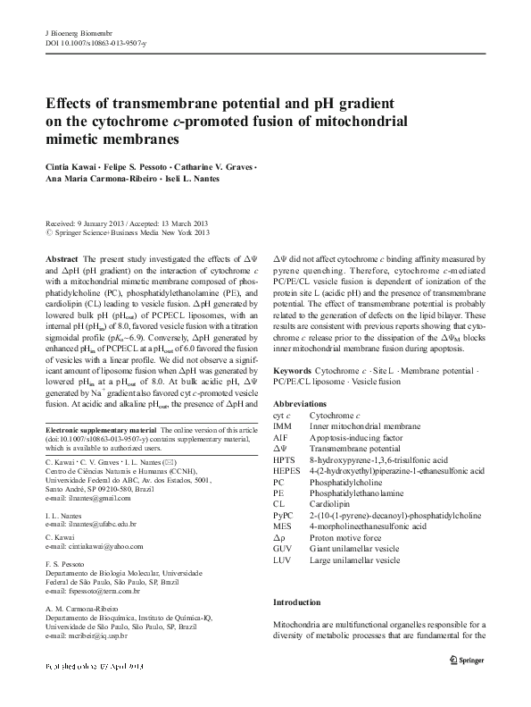 (PDF) Effects of transmembrane potential and pH gradient on the ...