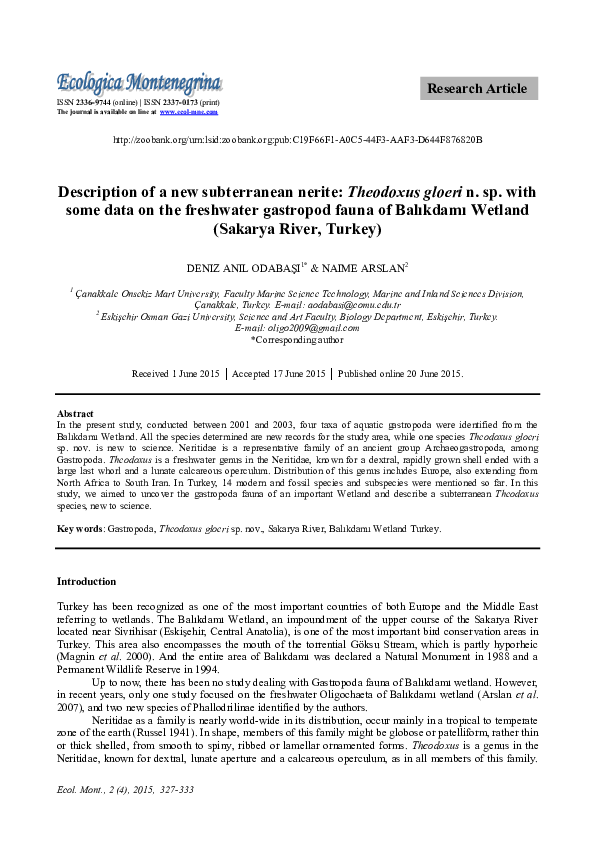 (PDF) Description of a New Subterranean Nerite: Theodoxus Gloeri N. Sp ...