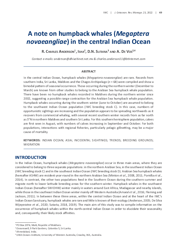 (PDF) note on humpback whales (Megaptera novaeangliae) in the central ...
