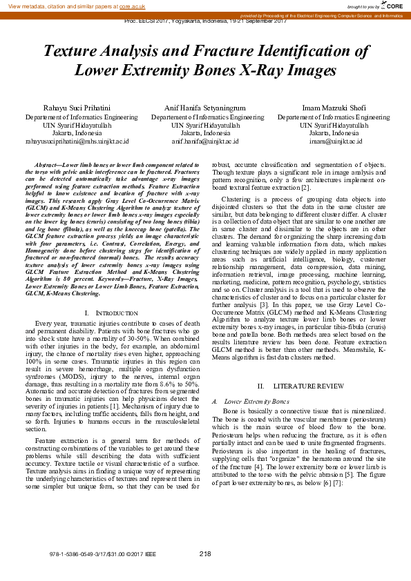(PDF) Texture Analysis and Fracture Identification of Lower Extremity Bones X-Ray Images
