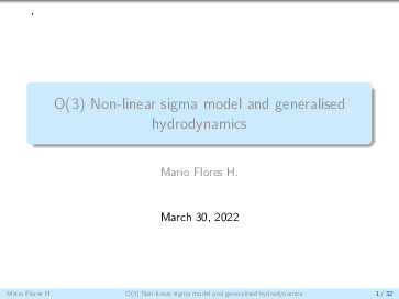 (PDF) O(3) Non-linear sigma model and generalised hydrodynamics