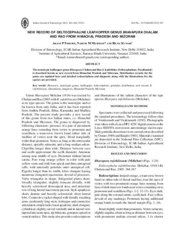 (PDF) New Record of Deltocephaline Leafhopper Genus Bhavapura Chalam ...