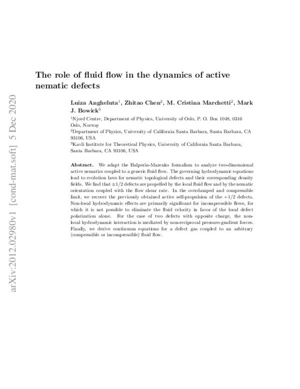 (PDF) The role of fluid flow in the dynamics of active nematic defects