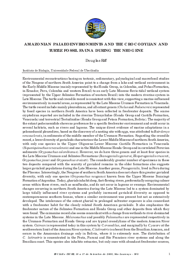 (PDF) Amazonian paleoenvironments and the crocodylian and turtle fossil ...