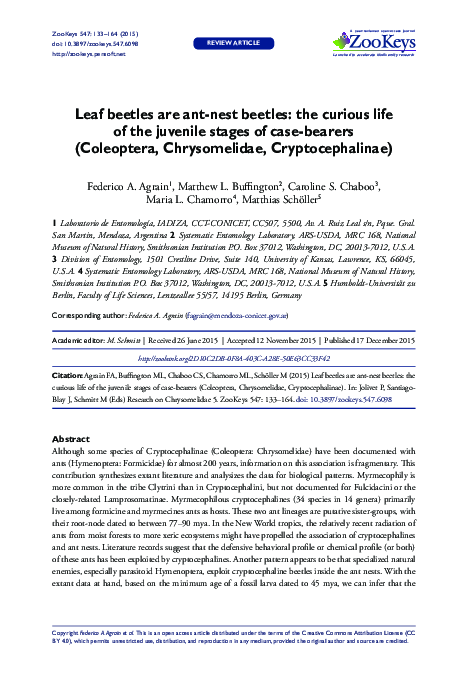 (PDF) Leaf beetles are ant-nest beetles: the curious life of the ...