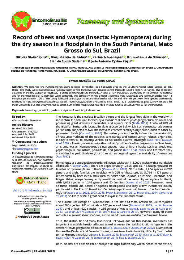 (PDF) Record of bees and wasps (Insecta: Hymenoptera) during the dry ...