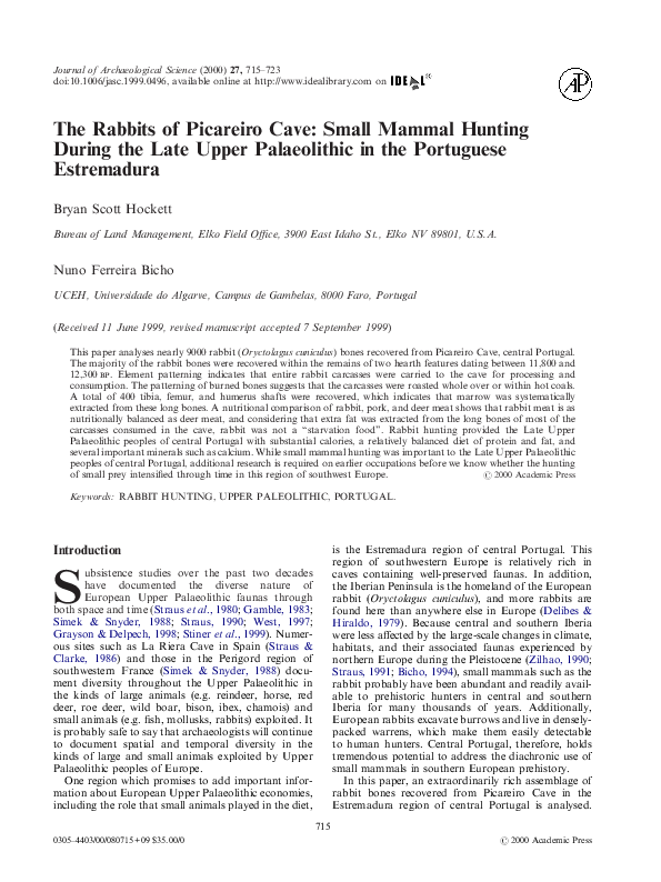 (PDF) The Rabbits of Picareiro Cave: Small Mammal Hunting During the ...