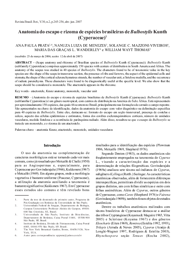 (PDF) Anatomia do escapo e rizoma de espécies brasileiras de ...
