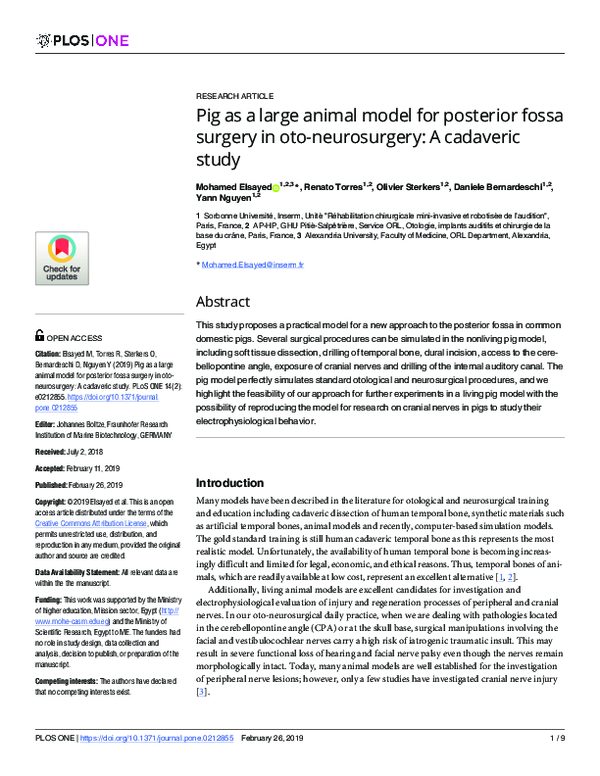 (PDF) Pig as a large animal model for posterior fossa surgery in oto ...