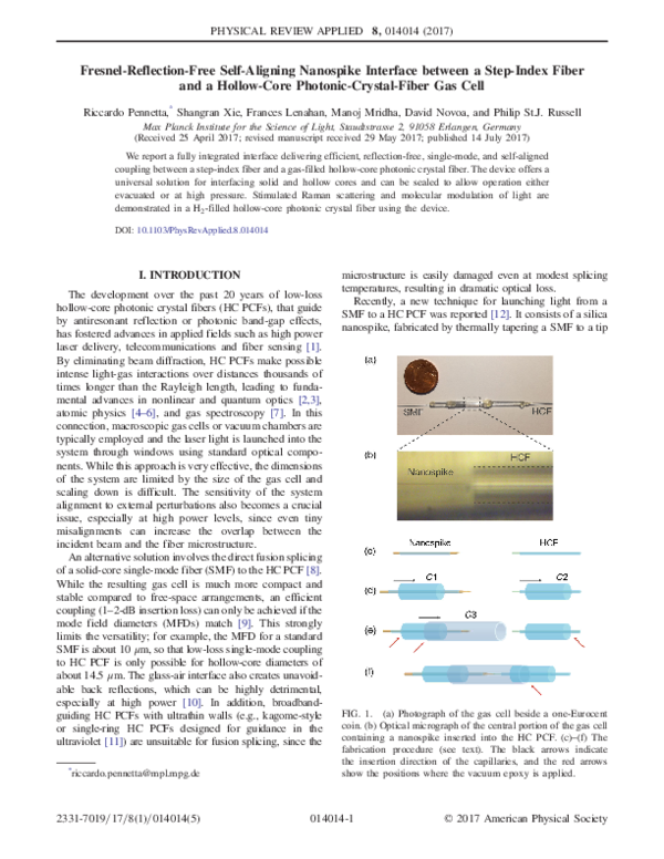 (PDF) Fresnel-Reflection-Free Self-Aligning Nanospike Interface between ...