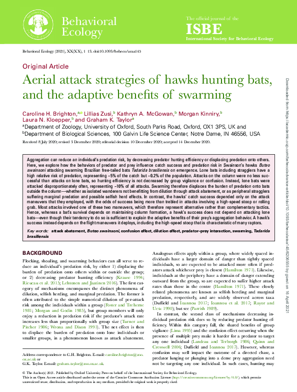 (PDF) Aerial attack strategies of hawks hunting bats, and the adaptive ...