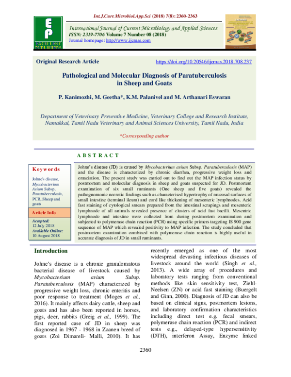(PDF) Pathological and Molecular Diagnosis of Paratuberculosis in Sheep ...