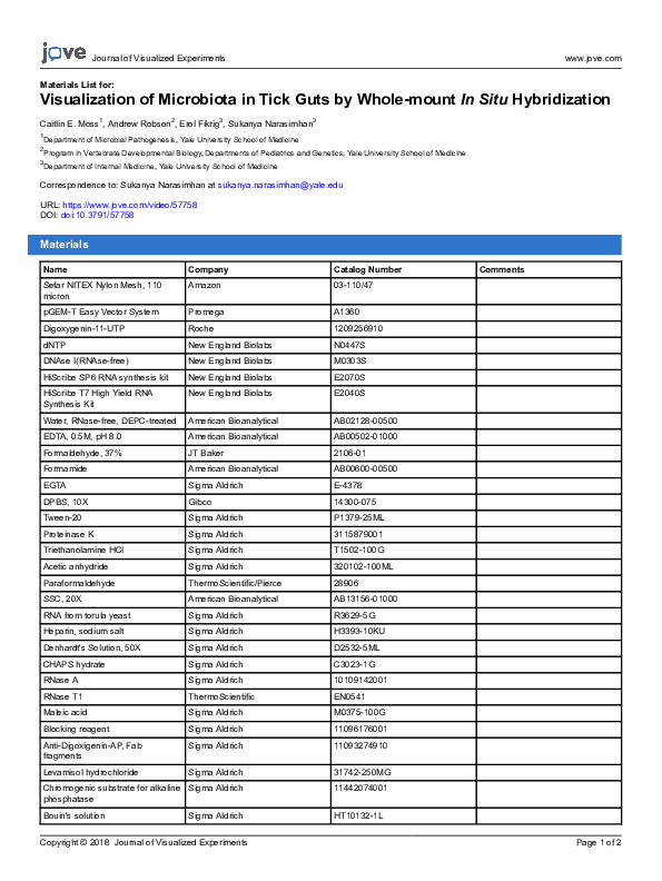 (PDF) Visualization of Microbiota in Tick Guts by Whole-mount In Situ Hybridization | Sukanya ...