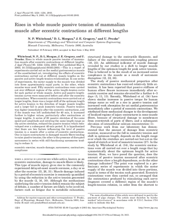(PDF) Rises in whole muscle passive tension of mammalian muscle after ...