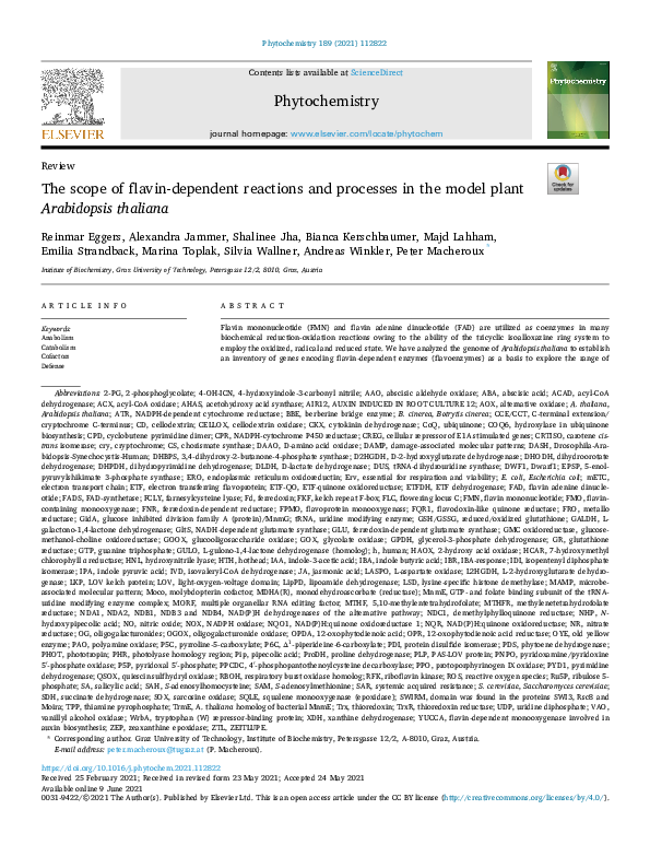 (PDF) Flavin-Dependent Enzymes in Arabidopsis