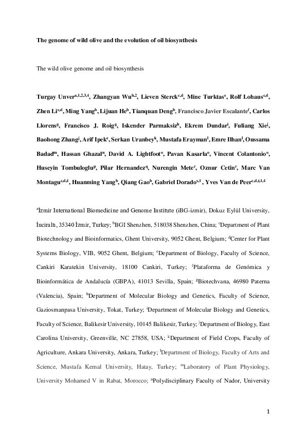 Genome of wild olive and the evolution of oil biosynthesis