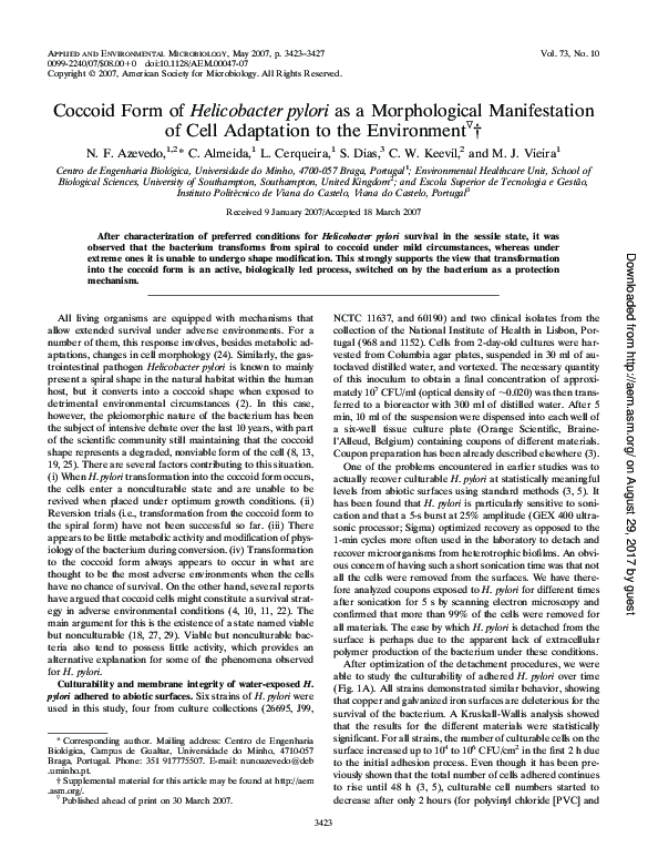 (PDF) Coccoid Form of Helicobacter pylori as a Morphological ...