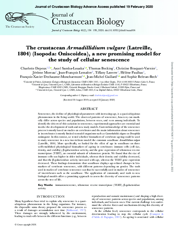 (PDF) The crustacean Armadillidium vulgare (Latreille, 1804) (Isopoda ...