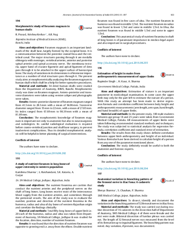 Anatomical variation in branching pattern of the femoral nerve in iliac ...