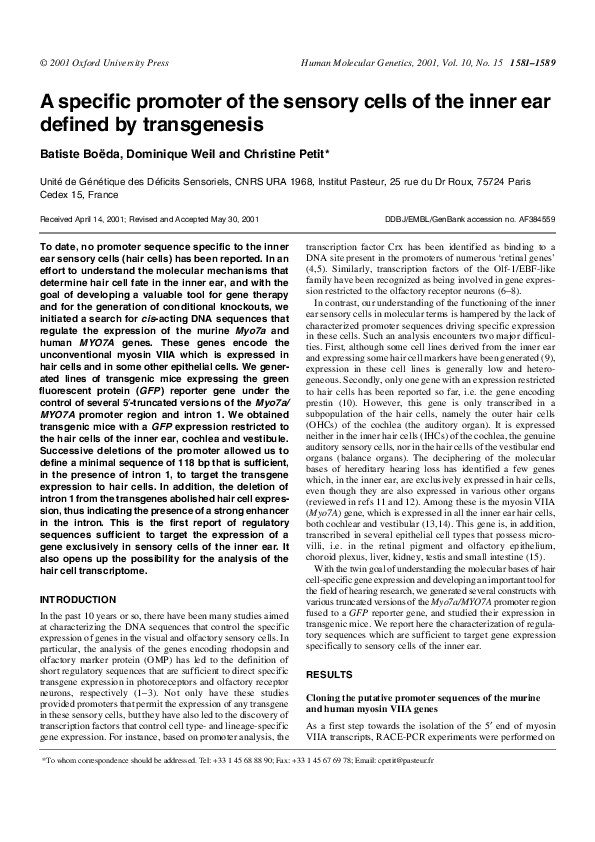 (PDF) A specific promoter of the sensory cells of the inner ear defined ...