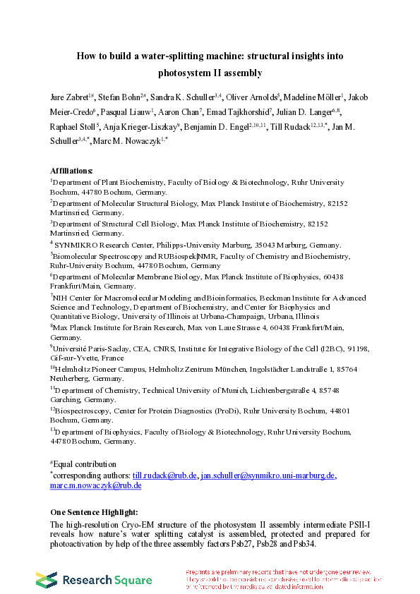 (PDF) Structural Insights into PSII Assembly Factors