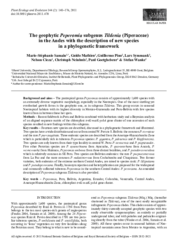 (PDF) The geophytic Peperomia subgenus Tildenia (Piperaceae) in the ...