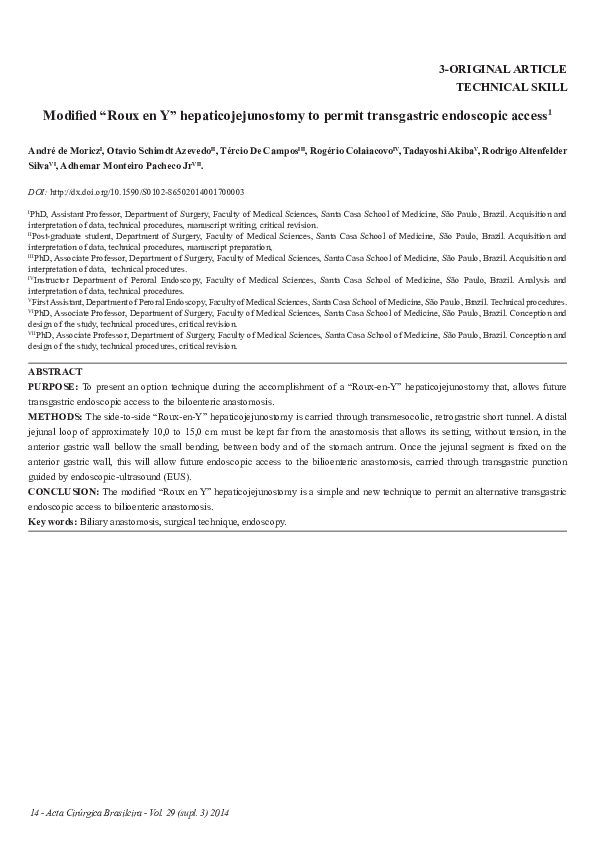 (PDF) Modified "Roux en Y" hepaticojejunostomy to permit transgastric ...
