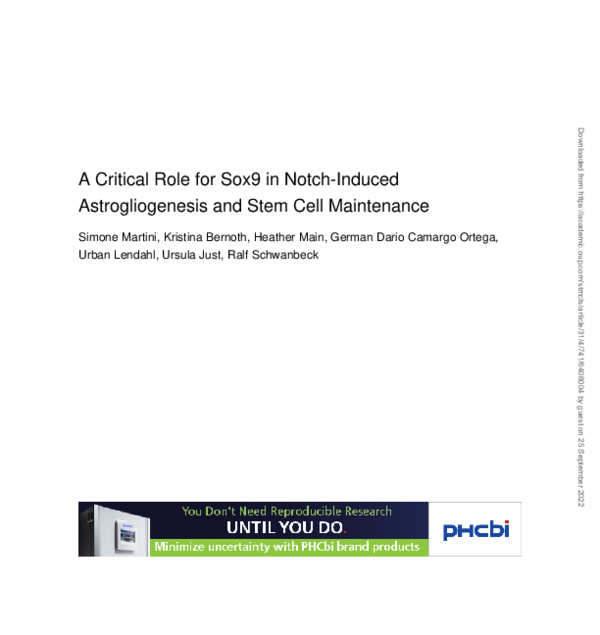 (PDF) A Critical Role for Sox9 in Notch-Induced Astrogliogenesis and ...