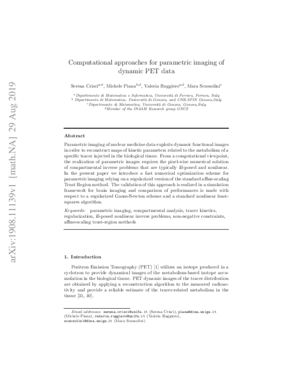 (PDF) Computational approaches for parametric imaging of dynamic PET data