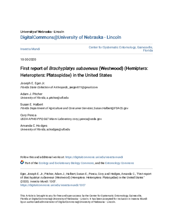 (PDF) First report of \u3ci\u3eBrachyplatys subaeneus\u3c/i\u3e ...