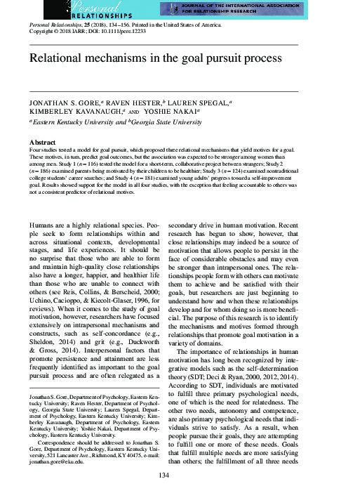 (PDF) Relational mechanisms in the goal pursuit process