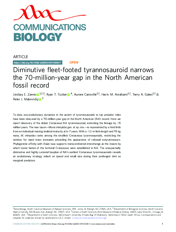 (PDF) Diminutive fleet-footed tyrannosauroid narrows the 70-million ...