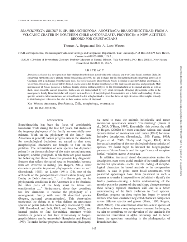 (PDF) Branchinecta brushi n. sp. (Branchiopoda: Anostraca ...