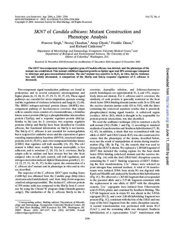 (PDF) SKN7 of Candida albicans : Mutant Construction and Phenotype Analysis